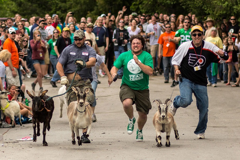 Sly Fox Bock Fest and Goat Race | Beerfests.com